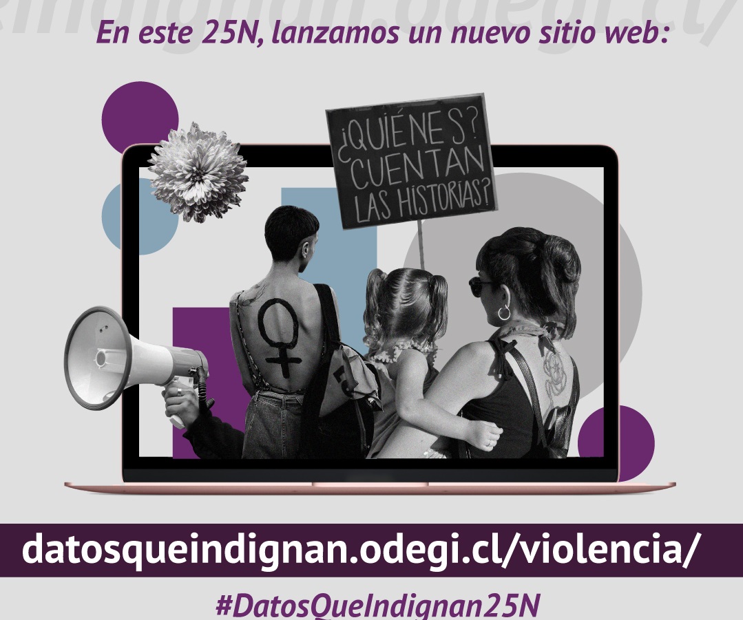 Observatorio Lanza Sitio Web Con Cifras Que Visualizan Violencia De